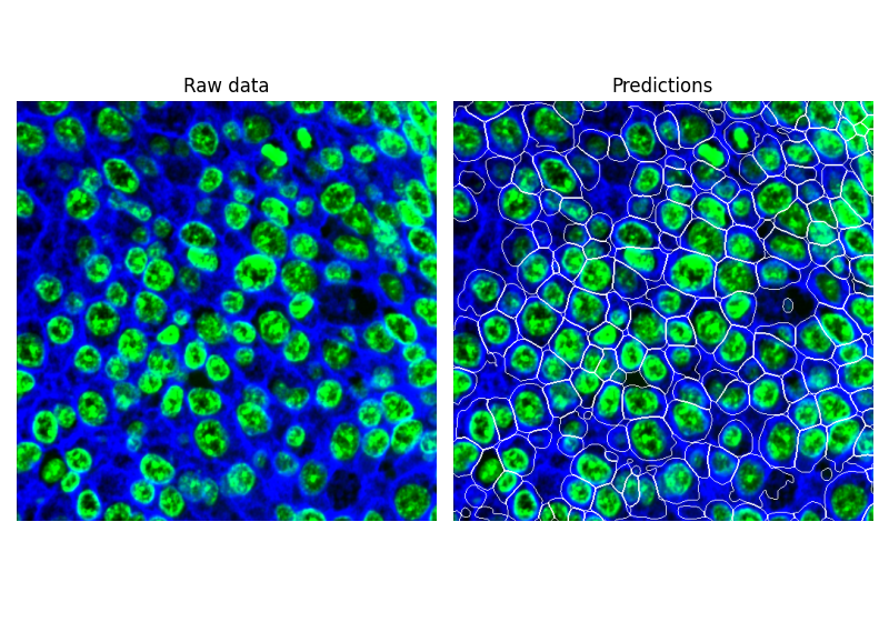 Mesmer: Tissue Segmentation — DeepCell 0.12.10 documentation